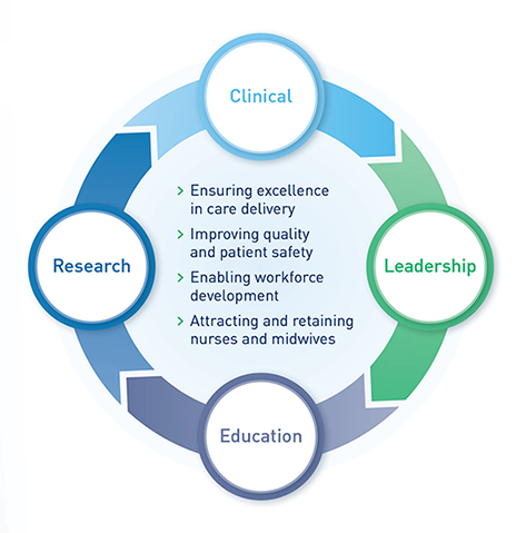 Nursing and Midwifery Pathways - The Brookes Academy, Nursing and ...
